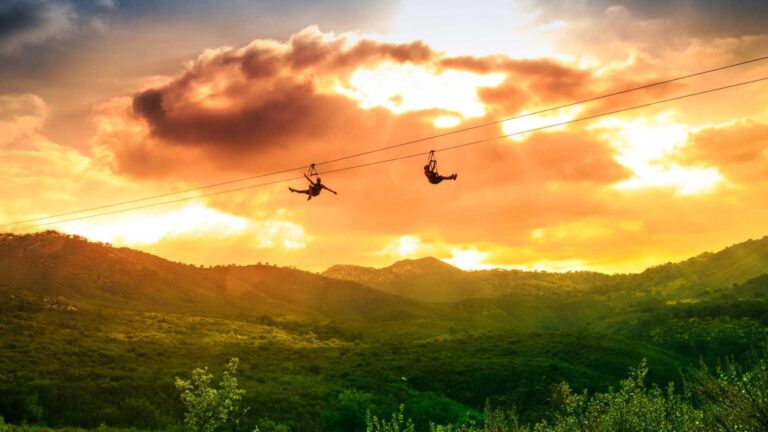 La Jolla Adventure Park | Outdoor Fun in Southern California